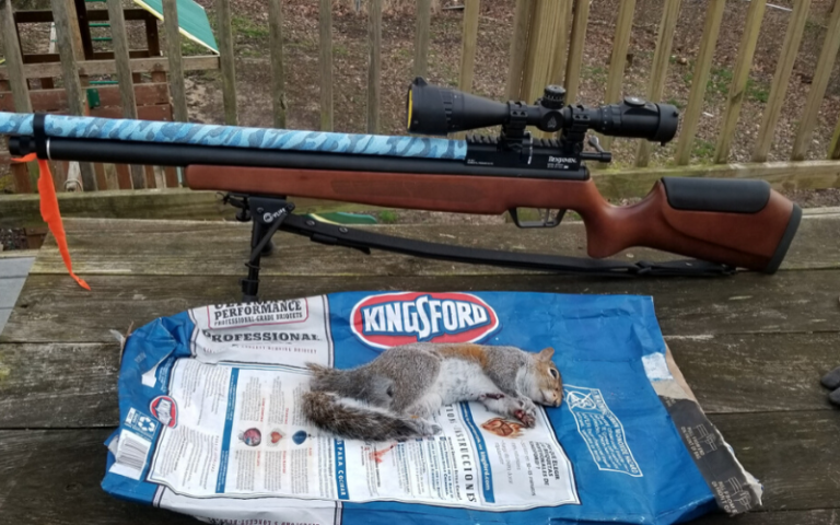 The 8 Best Benjamin Marauder Air Rifle In 2026 Review | [May Updated]