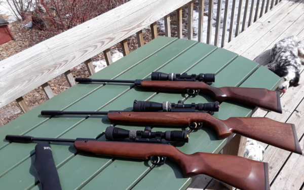 Best Break Barrel Air Rifles in 2025 | [June Updated]