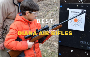 {The 8} Best Diana Air Rifles in 2026 [June Tested]
