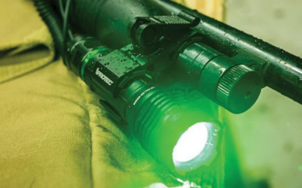 The 6 Best Green Lights For Hog Hunting You Should Buy in 2025 – TheGunZone