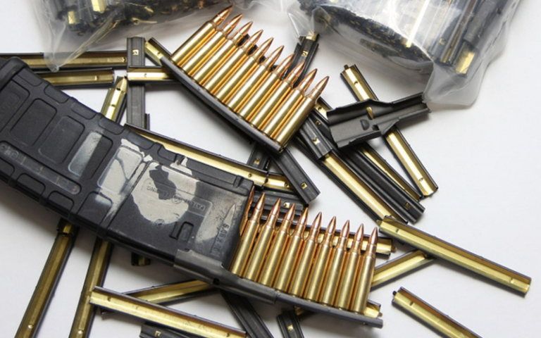 Difference Between Gun Magazine vs. Clip
