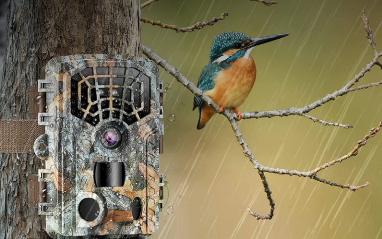 Top 10 Best Budget Trail Cameras under $100 in 2022 Reviews