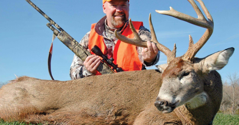 [Top 4] Best Slugs for Whitetail Hunting in 2022