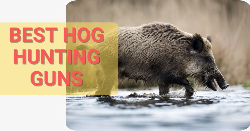 Best Hog Hunting Guns in 2026 | [June Updated]