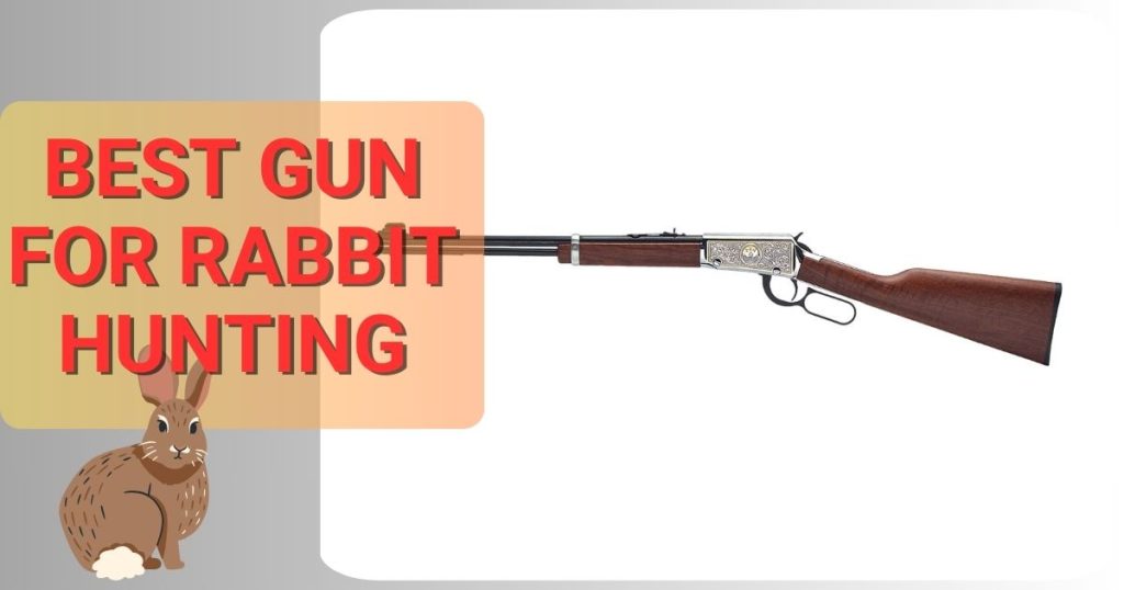 Best Gun for Rabbit Hunting in 2026 | [May Updated]