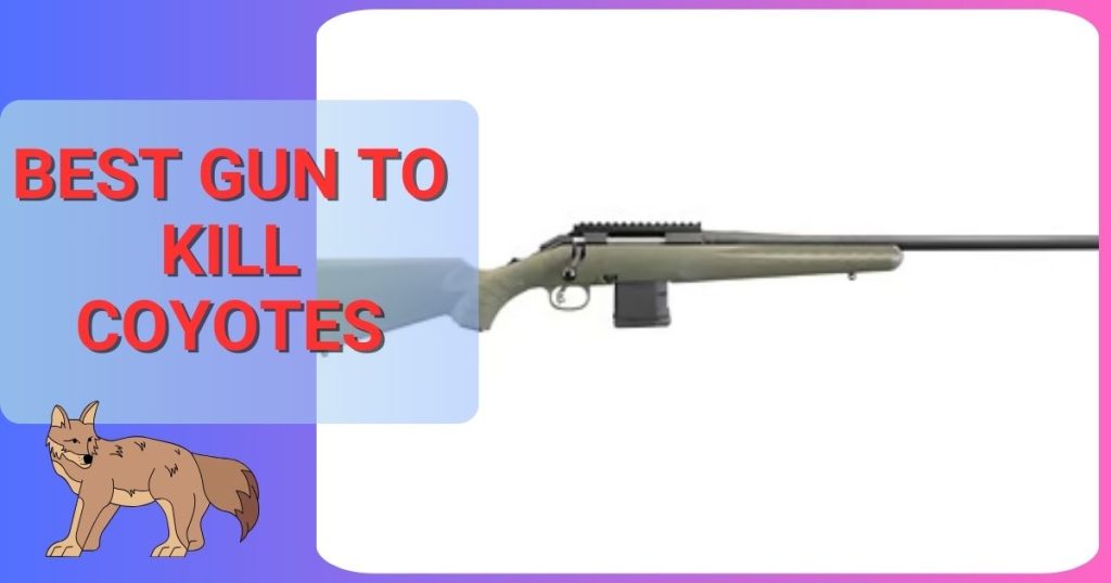 Best Gun to Kill Coyotes in 2026 | [June Updated]