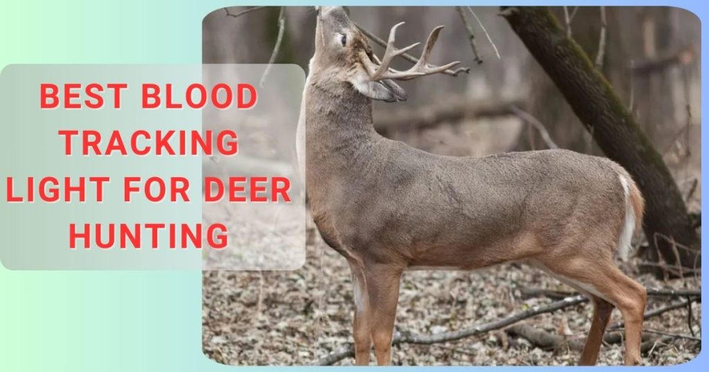 Best Blood Tracking Light for Deer Hunting in 2025 | [July Updated]