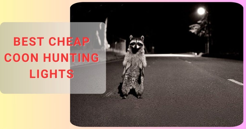 Best Cheap Coon Hunting Lights in 2024 | [November Updated]