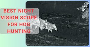 Best Night Vision Scope for Hog Hunting in 2026 | [January Updated]