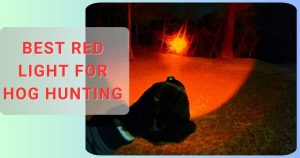 Best Red Light for Hog Hunting in 2025 | [September Updated]