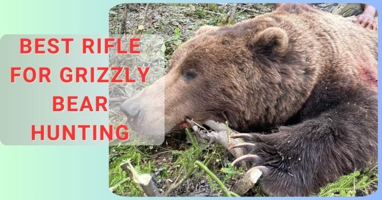 Best Rifle for Grizzly Bear Hunting in 2026 | [June Updated]